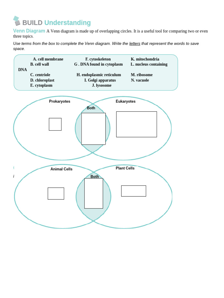 Cell Structure Practice Packet - KEY - With Add HWs - MK - 13-14 | PDF
