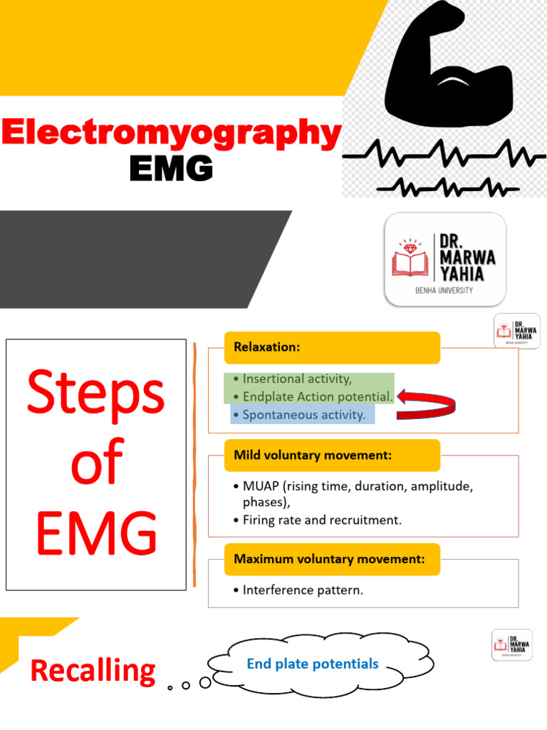 EMG 2 | PDF