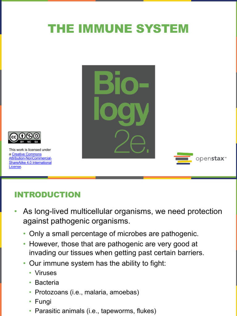 The Immune System | PDF