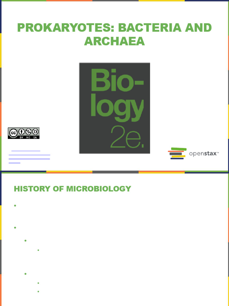 Bacteria and Archaea | PDF