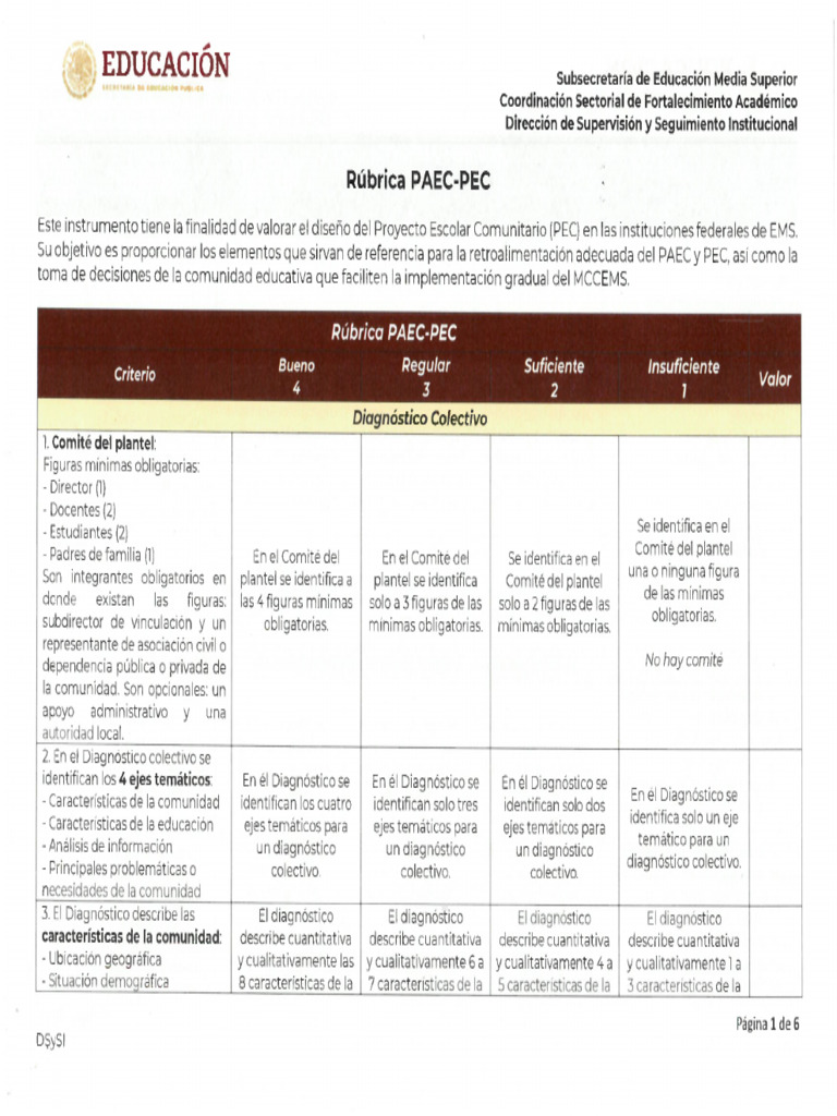 Rúbrica PAEC-PEC - COSFAC | PDF