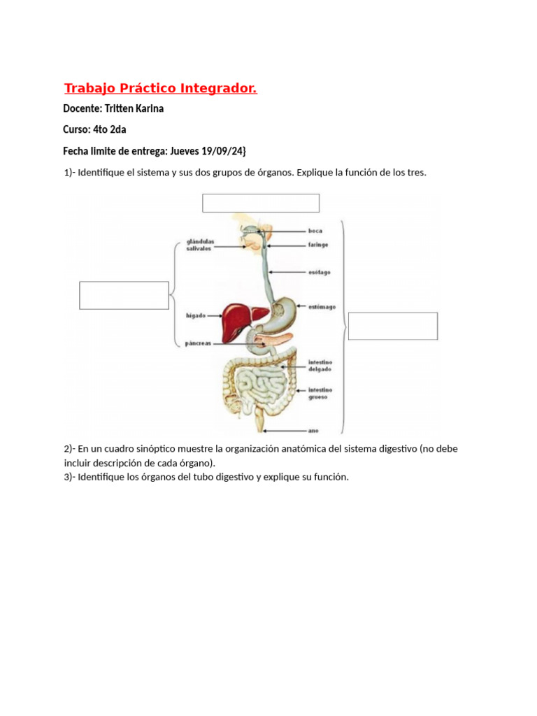 Trabajo Práctico Integrador 4to 2da | PDF