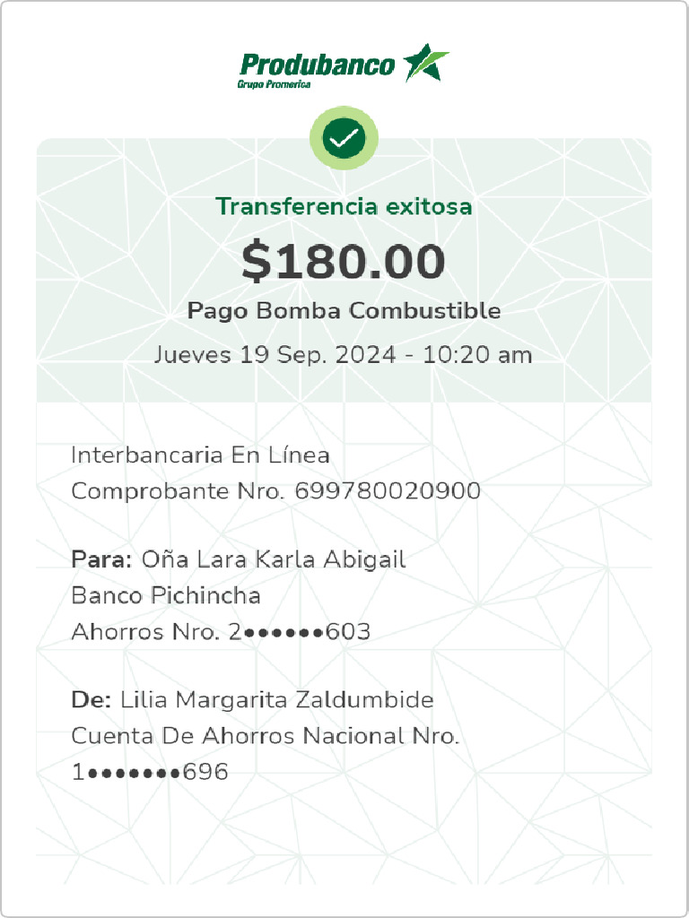 Pago Bomba Combustible 19 Sept 2024 | PDF