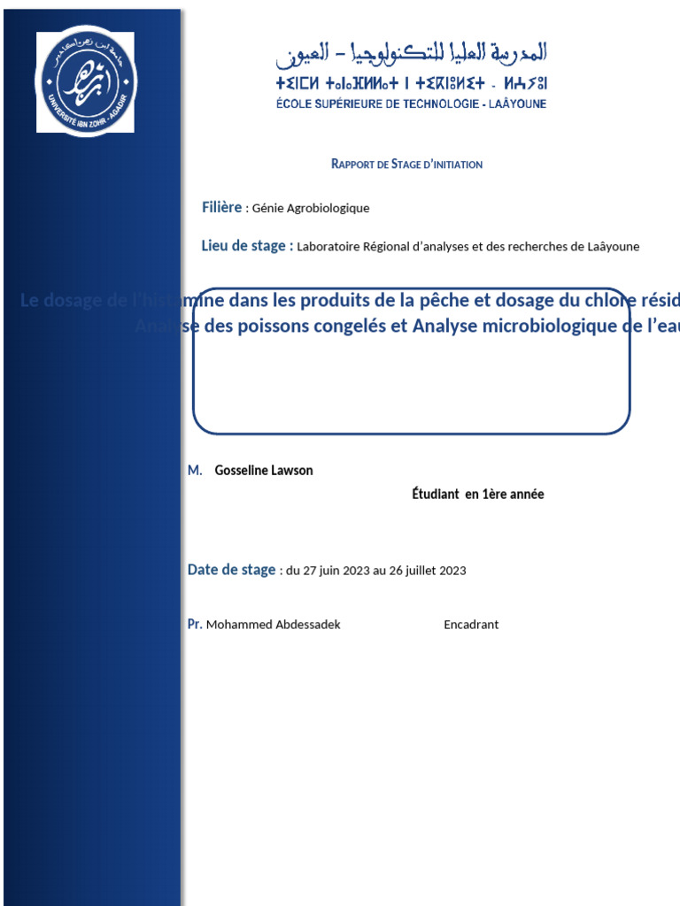 Rapport - Lawson PDF Vraie | PDF