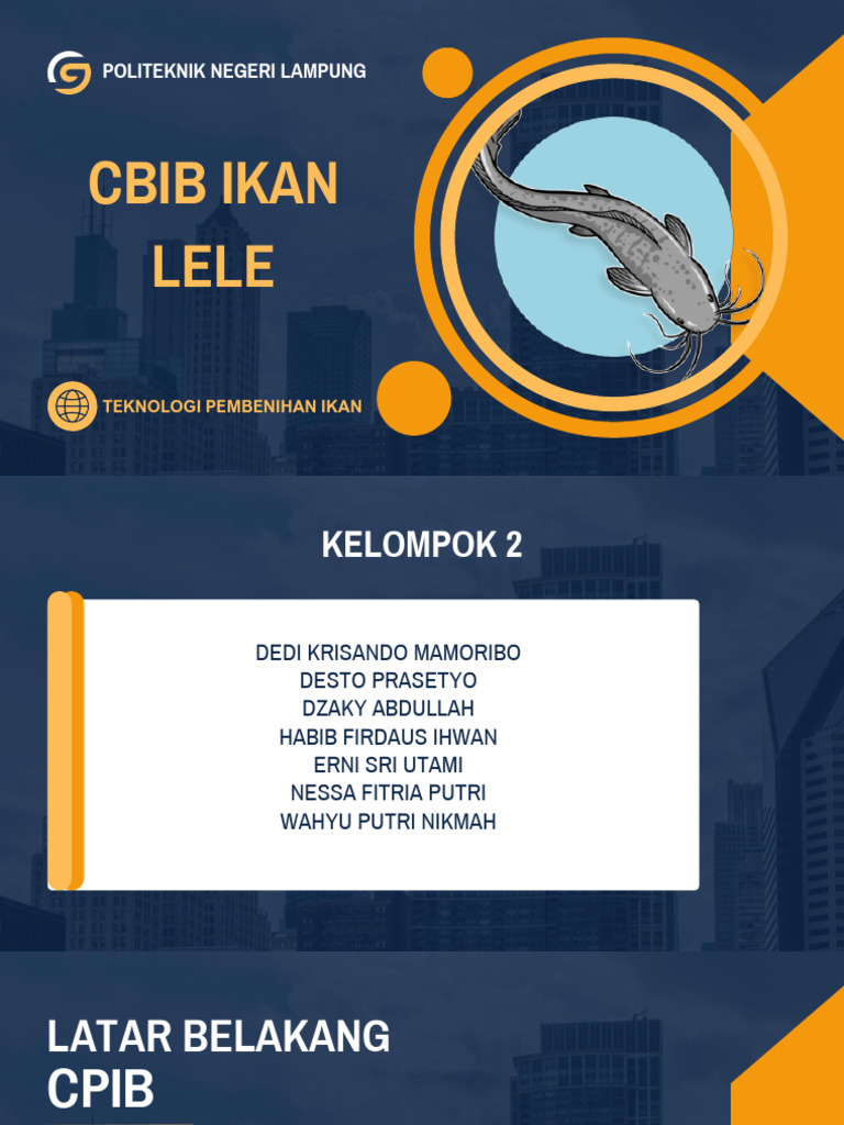 Cbib Kel 2 | PDF