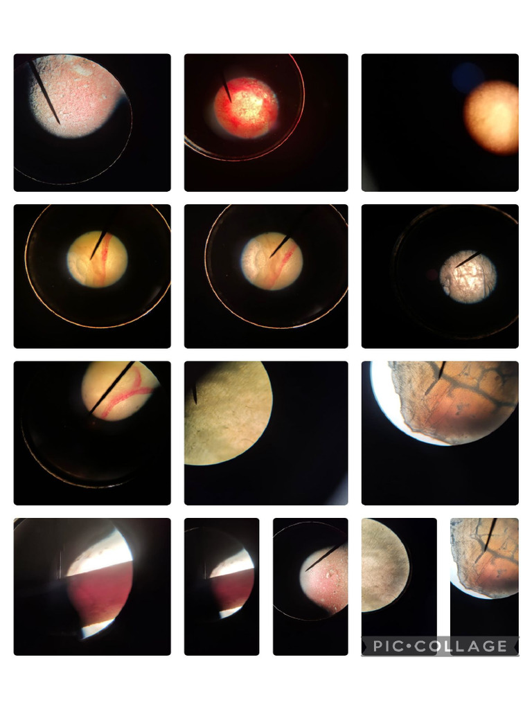 PDFReader 20240924 1030 | PDF