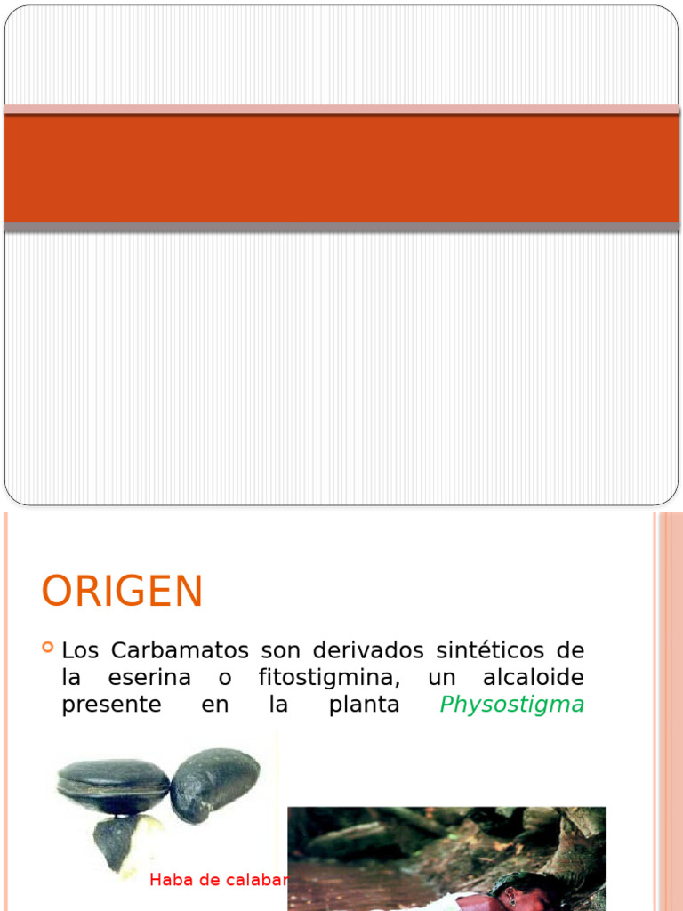 Carbamatos | PDF
