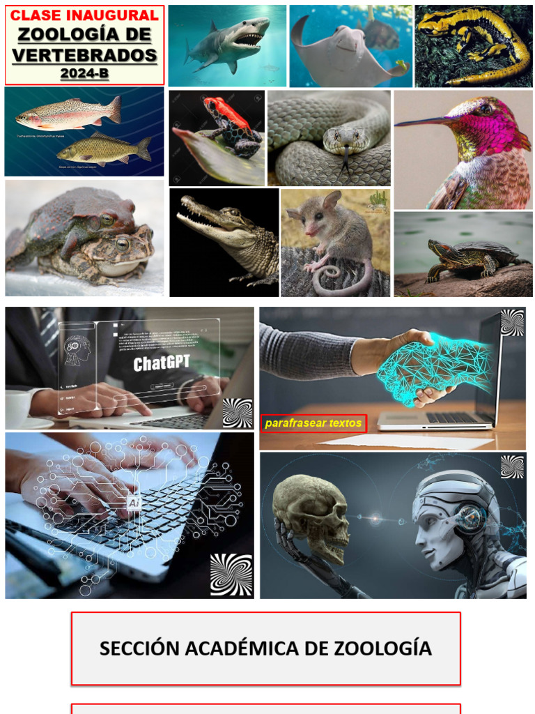 Clase Inaugural Vertebrados 2024 B | PDF | Biología | Aprendizaje