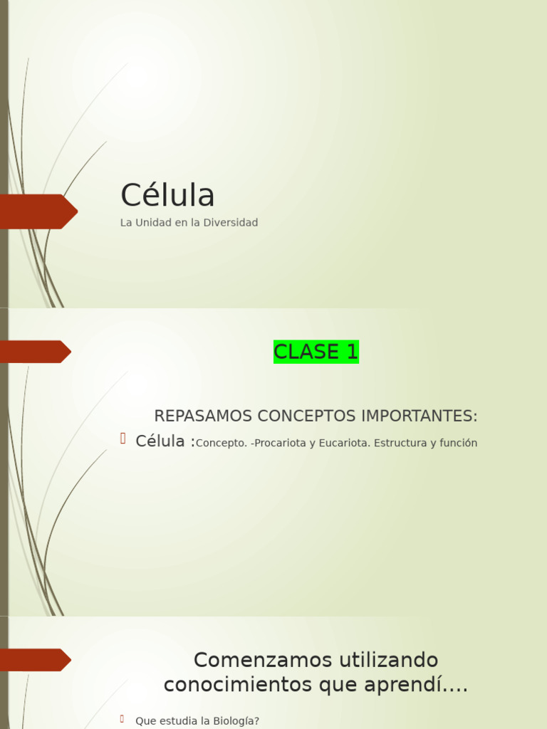 Clases 1, 2 y 3 | PDF