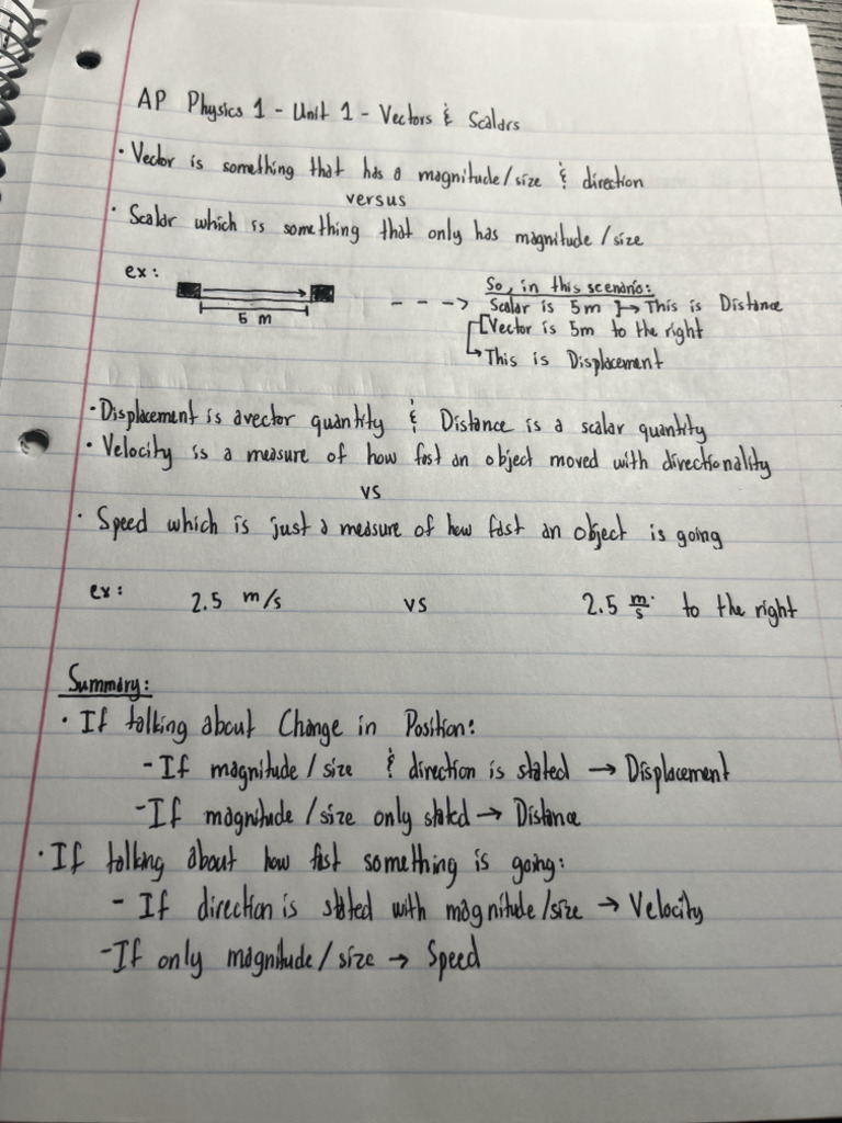 Physics - Vectors and Scalars Notes | PDF