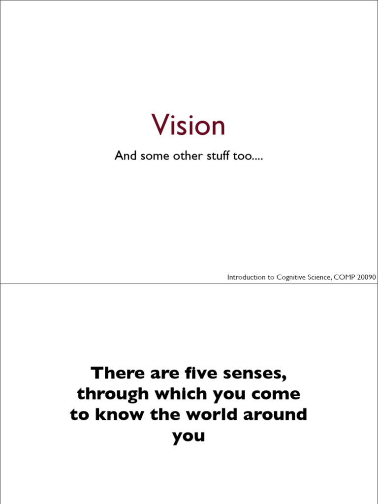 Vision - Cognitive Science | PDF | Visual Cortex | Neuroscience
