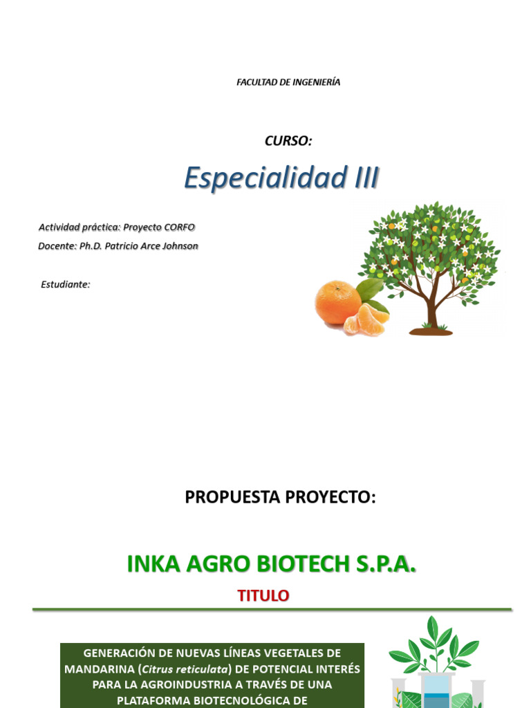 Clase 7. Eje de Proyecto Corfo en formato ppt | PDF