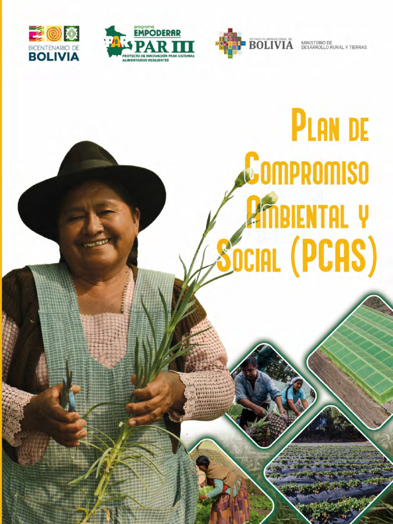 Plan de Compromiso Ambiental y Social FINAL | PDF