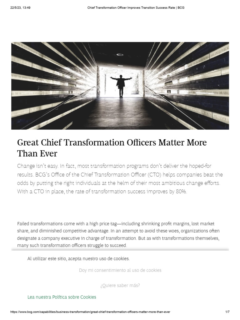Great Chief Transformation Officers Matter More | PDF