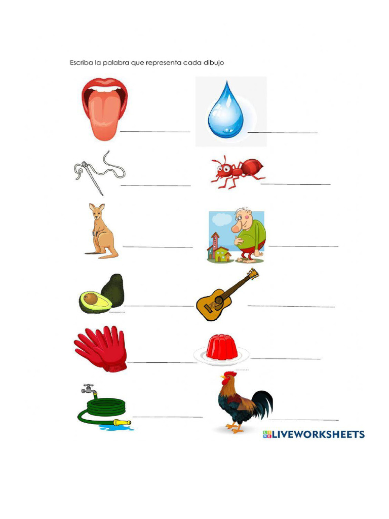 palabras con gui | PDF