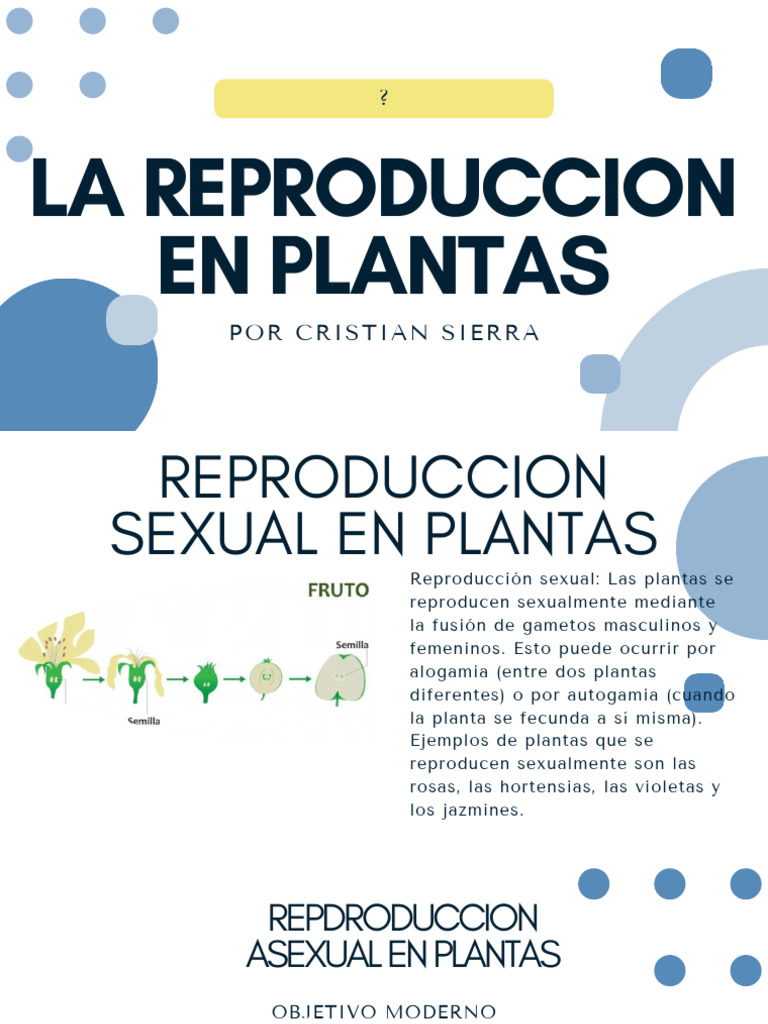La Reproduccion en Plantas | PDF