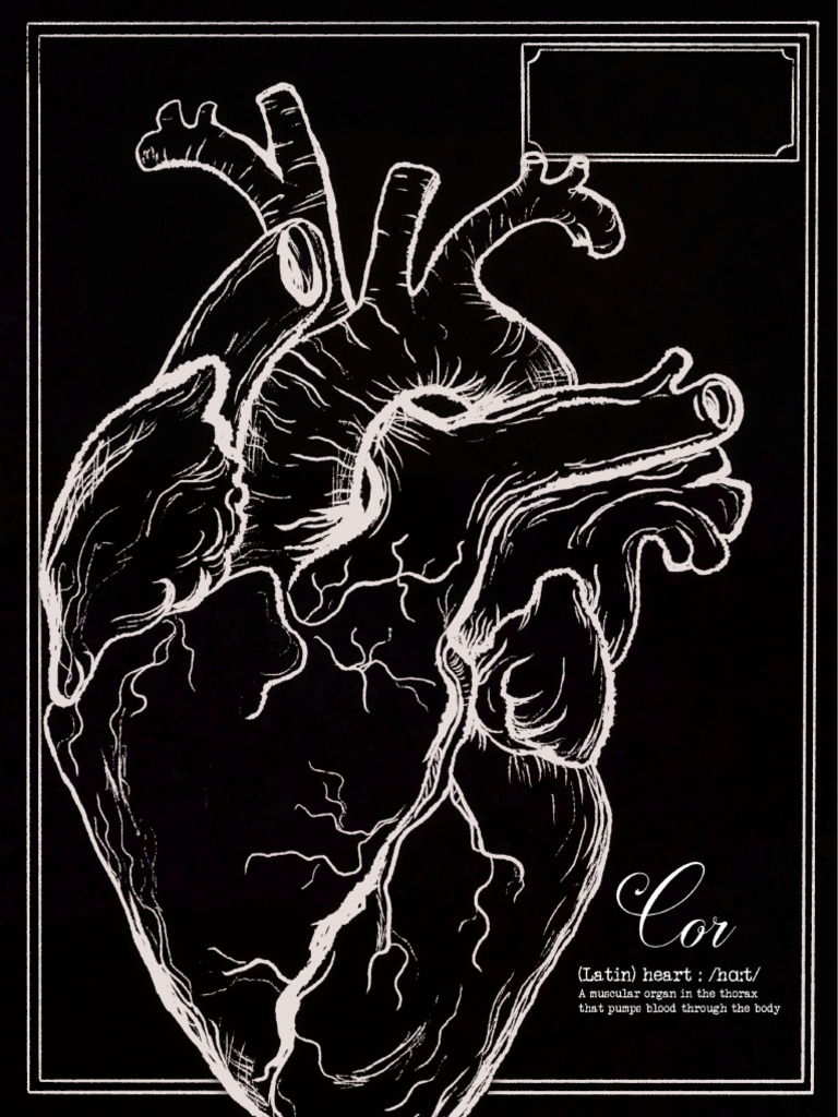 Cor-Nephros Cover Set | PDF