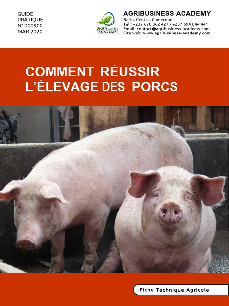 Guide Pratique Sur L'elevage Des Porcs | PDF