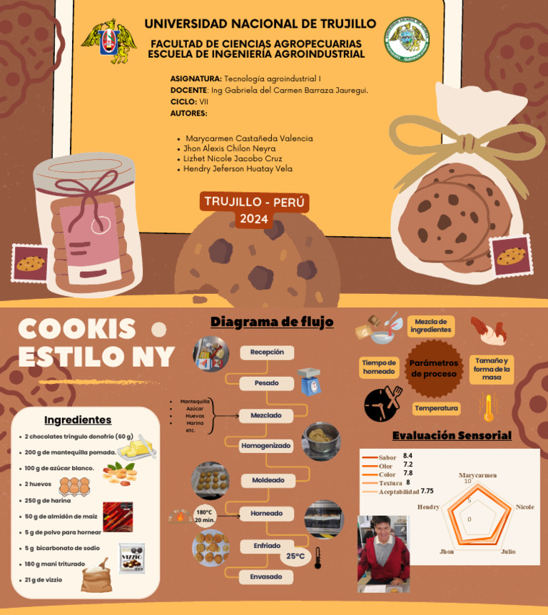 INFOGRAFIA GALLETAS | PDF
