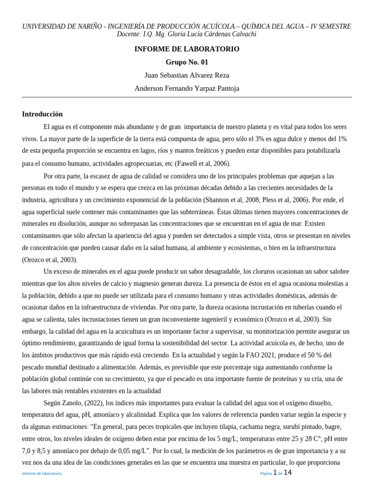 Plantilla Informe de Lab. 2 QA | PDF