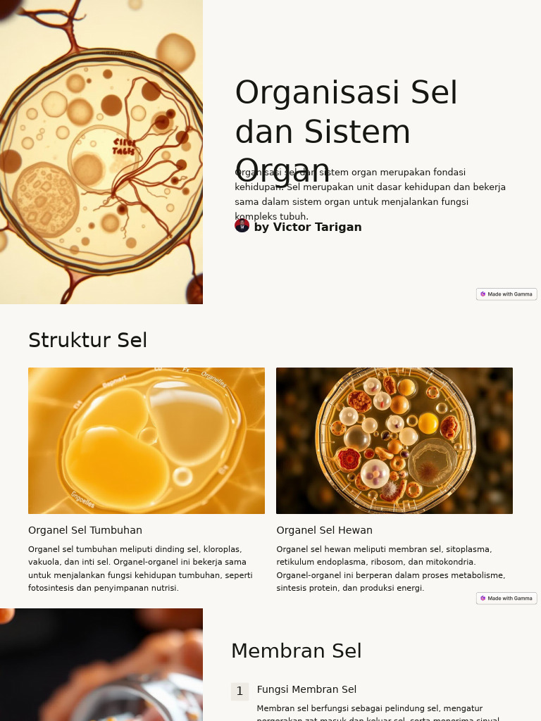 Organisasi Sel Dan Sistem Organ | PDF