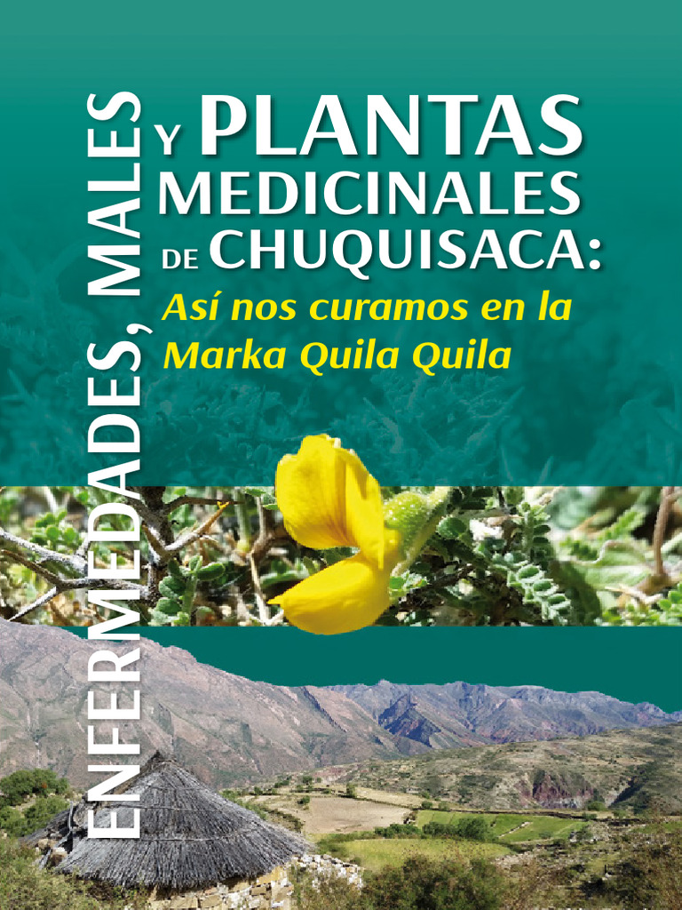 Asi Nos Curamos en Quila Quila | PDF