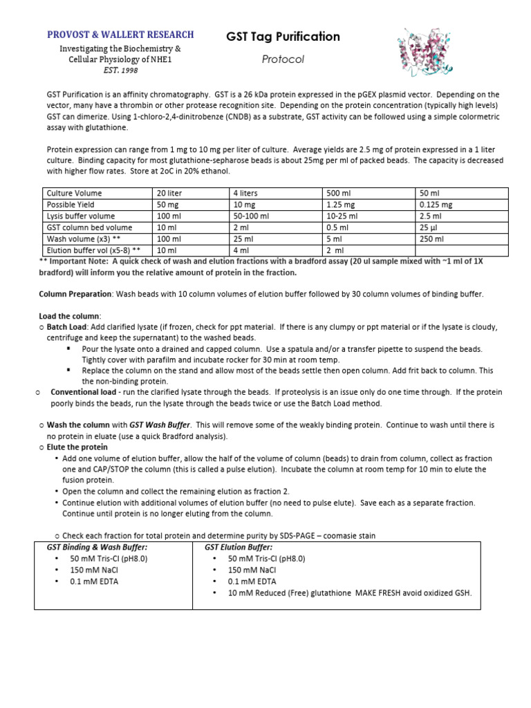 GST Tag Purification Protocol | PDF | Glutathione S Transferase ...