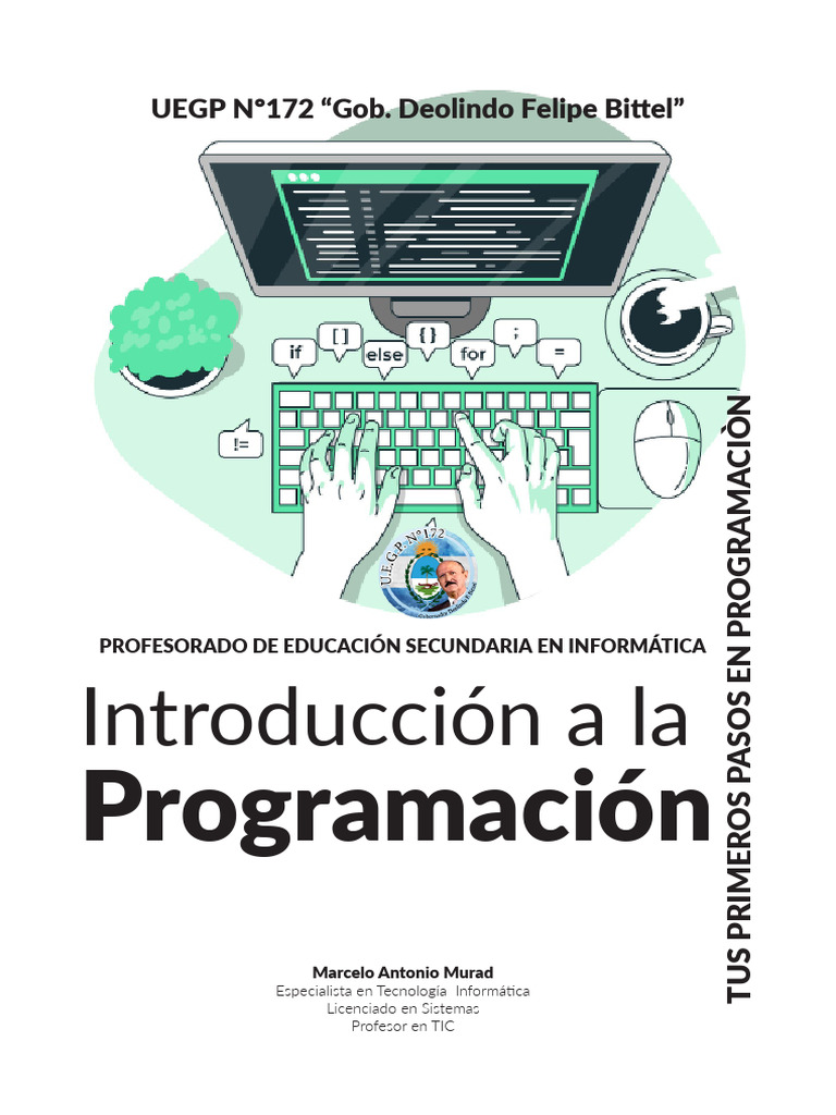 libro de programacion | PDF