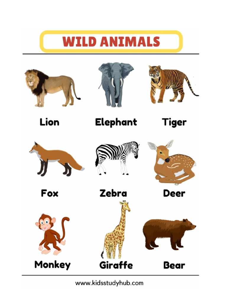 wild animals | PDF