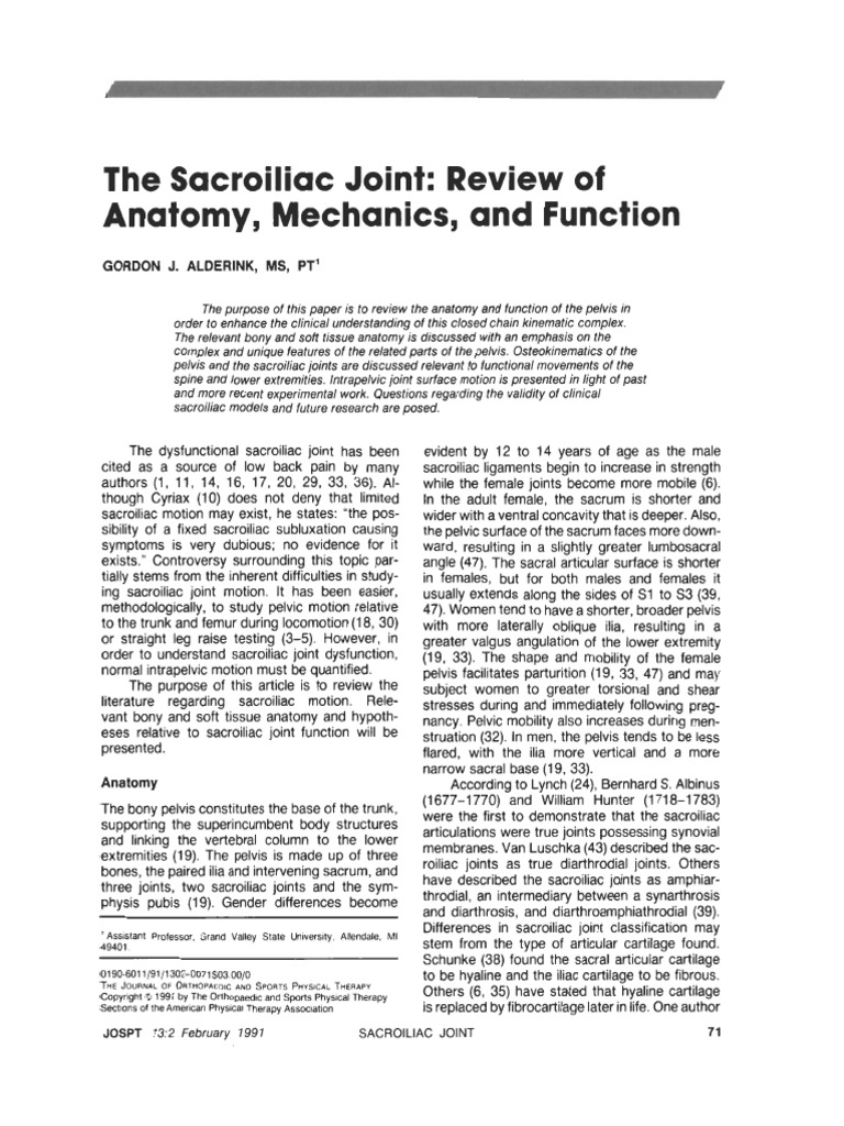 SIJ Basic Anatomy & Biomech | PDF | Pelvis | Anatomical Terms Of Location