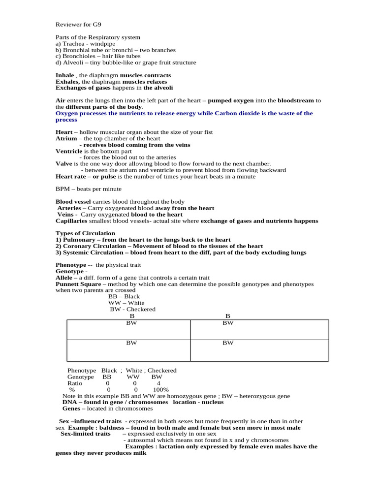 Reviewer For G9 1st Grading | PDF