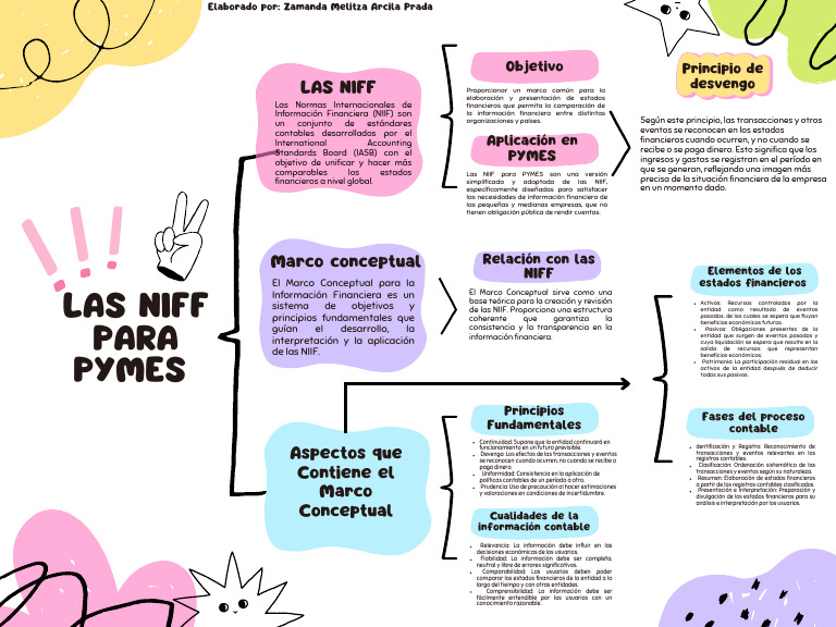 Esquema de Las NIIF | PDF