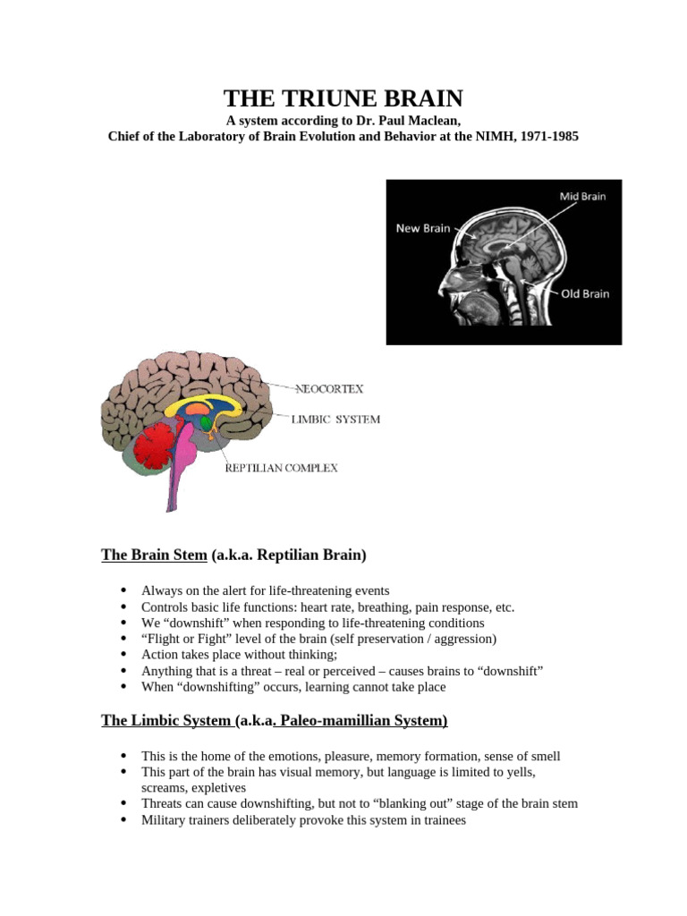 1.1.triune Brain | PDF