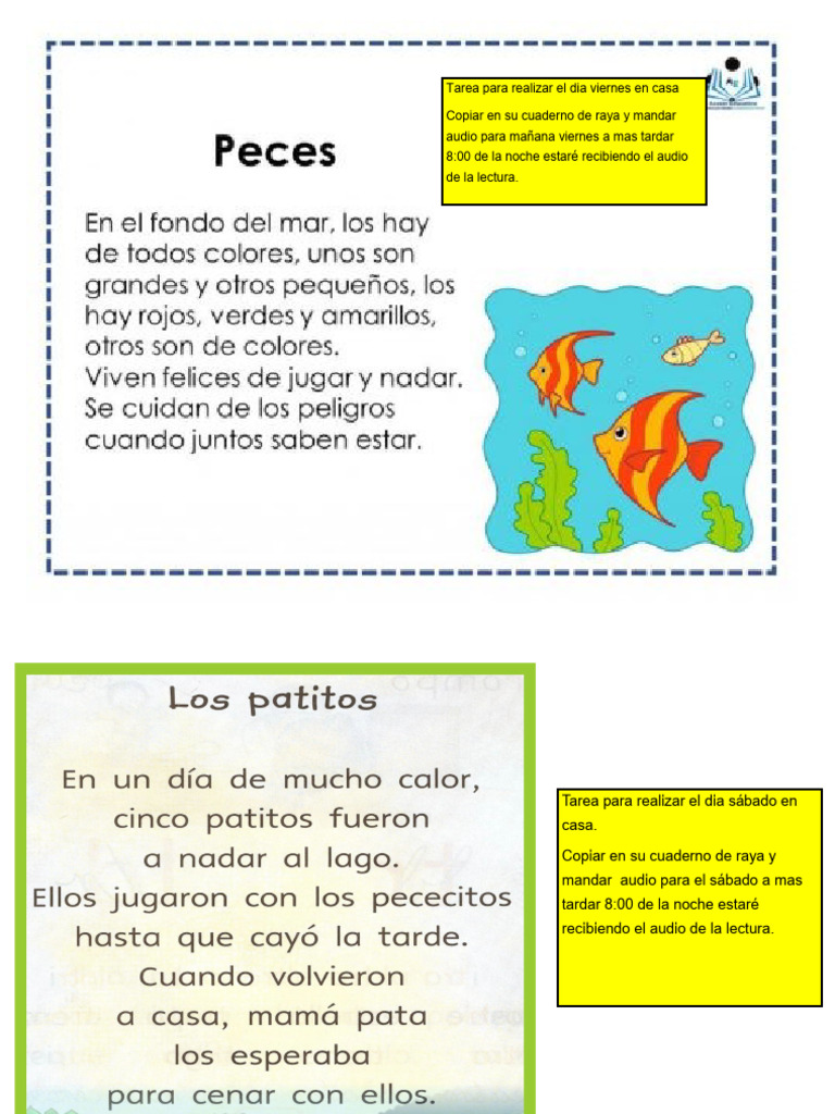 Actividad de 3 Grado Lectura | PDF