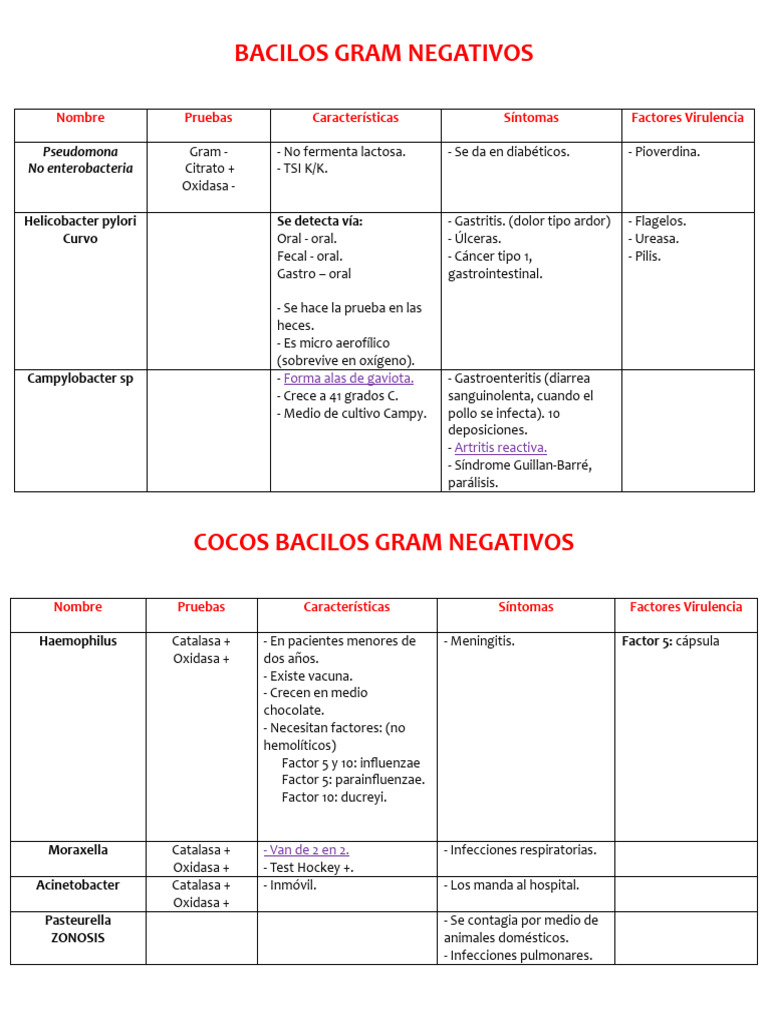 Parcial 1 - Progreso 2 | PDF