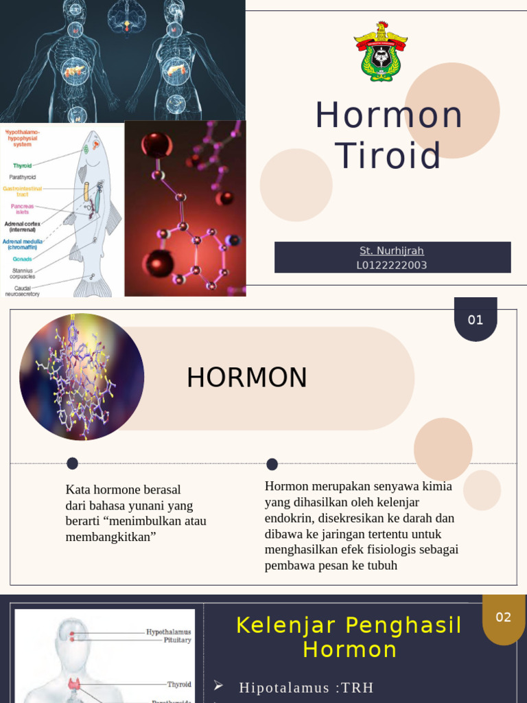 St. Nurhijrah - L012222003 - Hormon Tiroid | PDF | Thyroid Stimulating Hormone | Thyroid