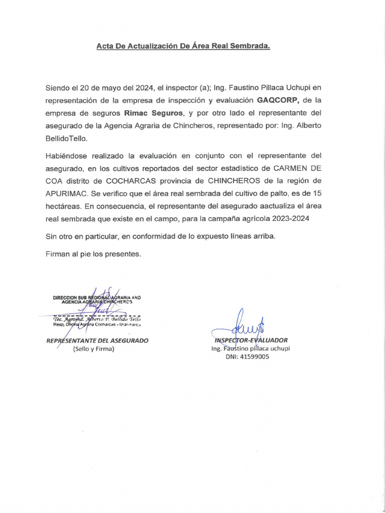 Acta Area Coay | PDF