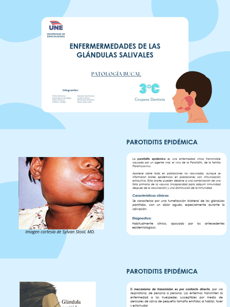 Enfermedades de las glándulas salivales (1) | PDF