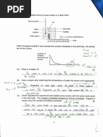 PSLE Standard Maths 2024 Answer Key | PDF