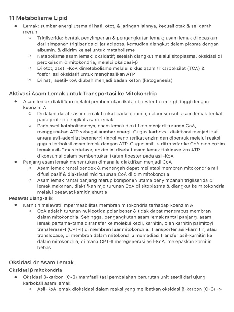 11_Metabolisme Lipid | PDF