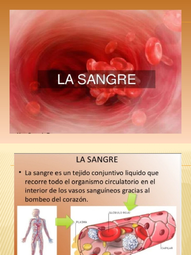 La Sangre | PDF