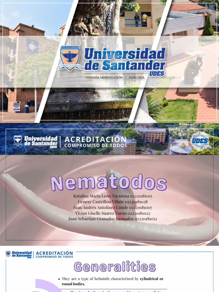 NEMATODOS | PDF