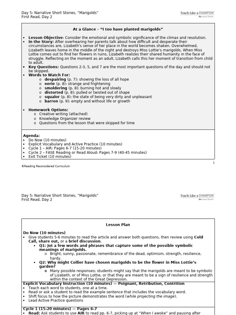 5 Short Stories Lesson Plan Marigolds Day 2 | PDF | Foreign Language ...