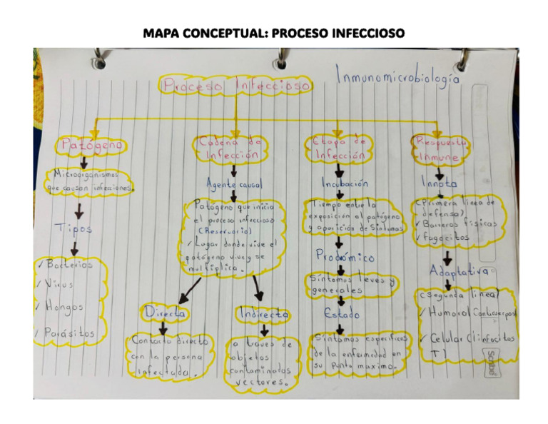 Mapa Conceptual Proceso Infeccioso | PDF