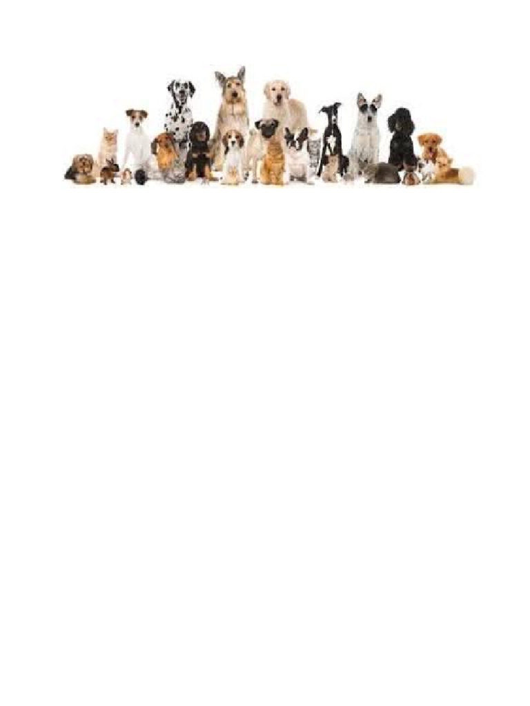 Pet 4 Pdf