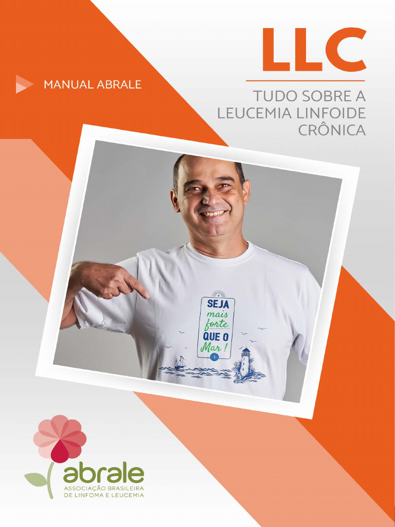 Manual de LLC Web 1 | PDF