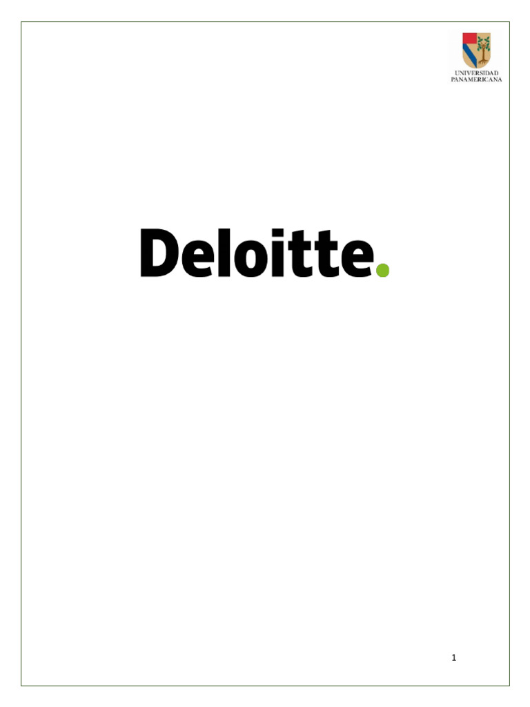 DELOITTE PrimeraEntrega Equipo4 Grupo4143 | PDF