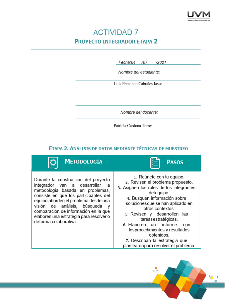 Actividad 7 Proyecto Integrador Etapa 2 | PDF