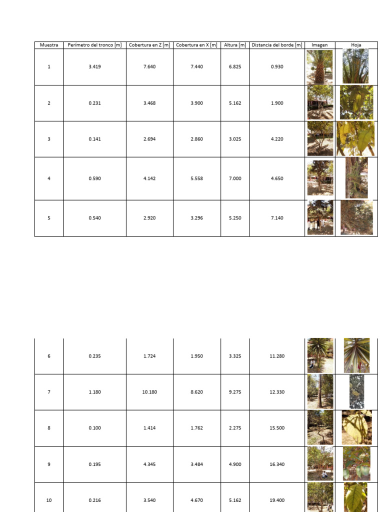 2AM2 Equipo5 Pract3 | PDF