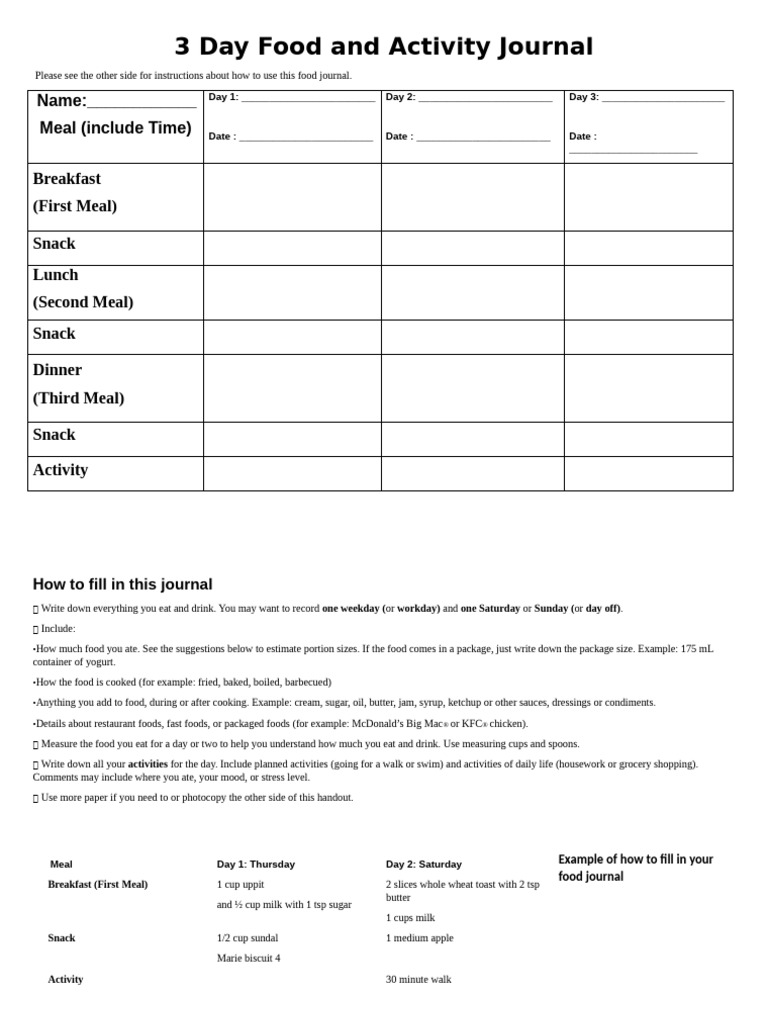 3 Day Food Log | PDF